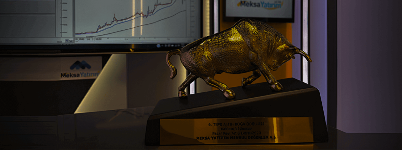 Ana Sayfa | Meksa Yatırım